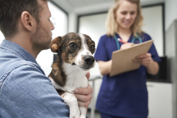 What Should I Expect During My Pet’s First Vet Visit? | Stephen Wood ...